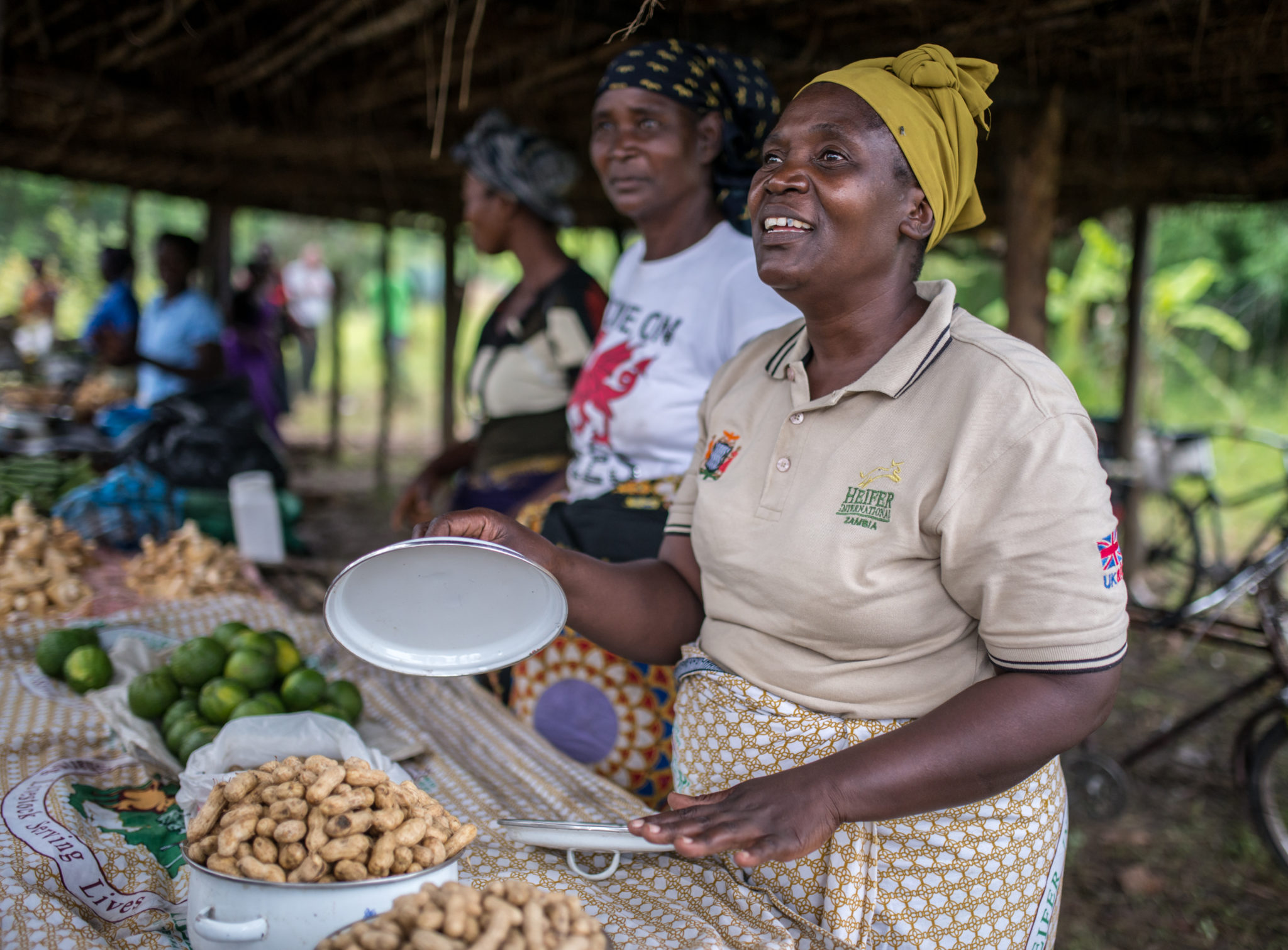 Crop Diversity for Food Security in West Africa - Seeds for Resilience ...