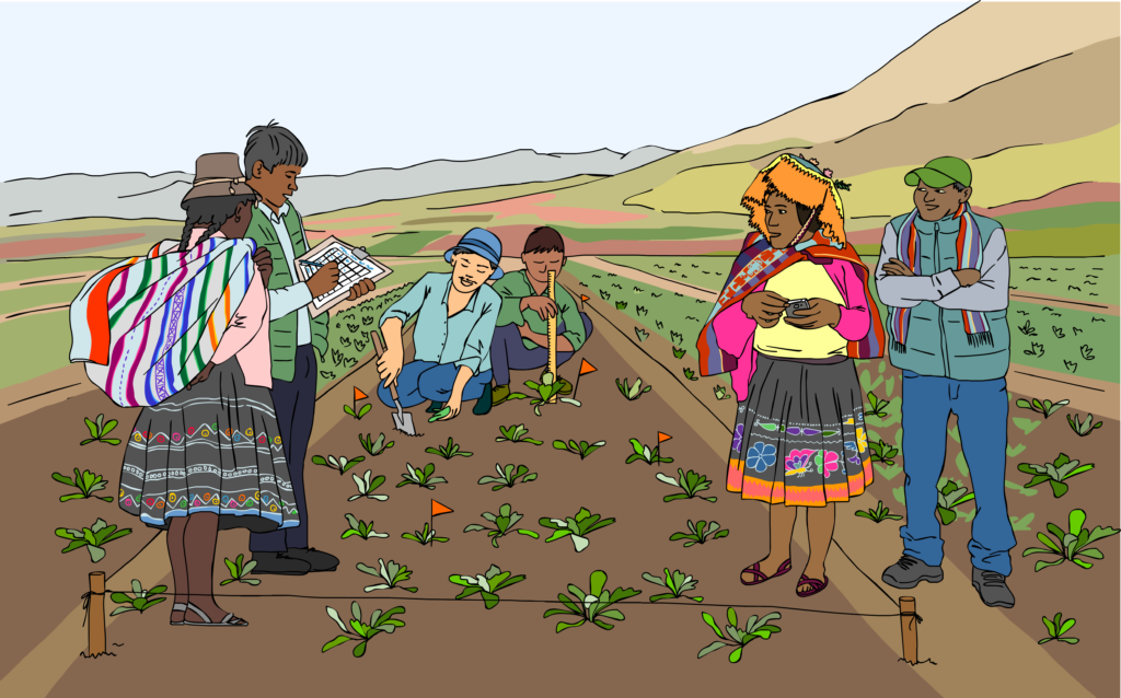 Facilitators' Field Guide for FFS on Participatory Plant Breeding ...